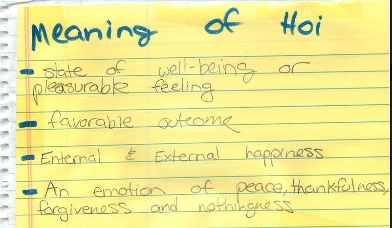 What’s this HOI? – got hoi?